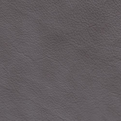 G' Digio Leather Sofa / Calgary Furniture Store – Amber's Furniture